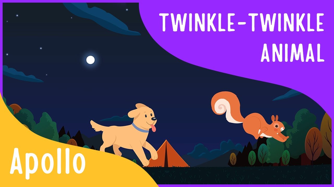 Shining Bright: Twinkle Twinkle Animal Song | Bedtime Trending Song ...