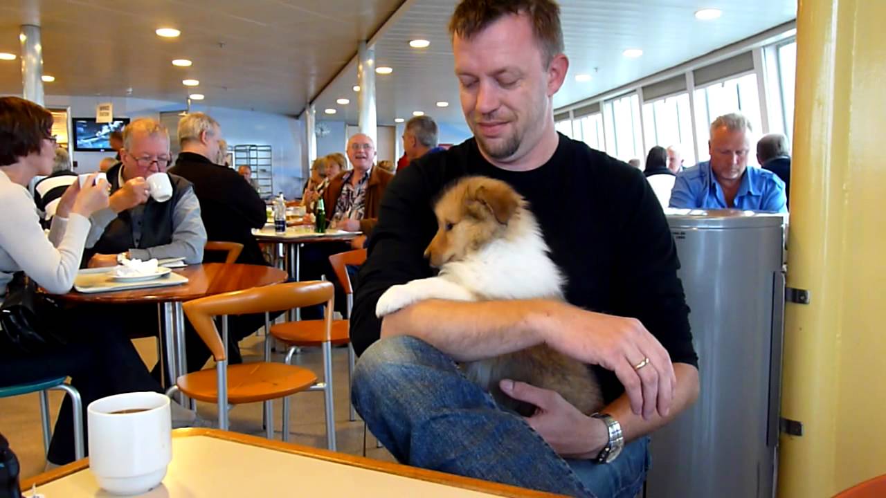 Djennah's eerste kennismaking met de grote buitenwereld!! - YouTube