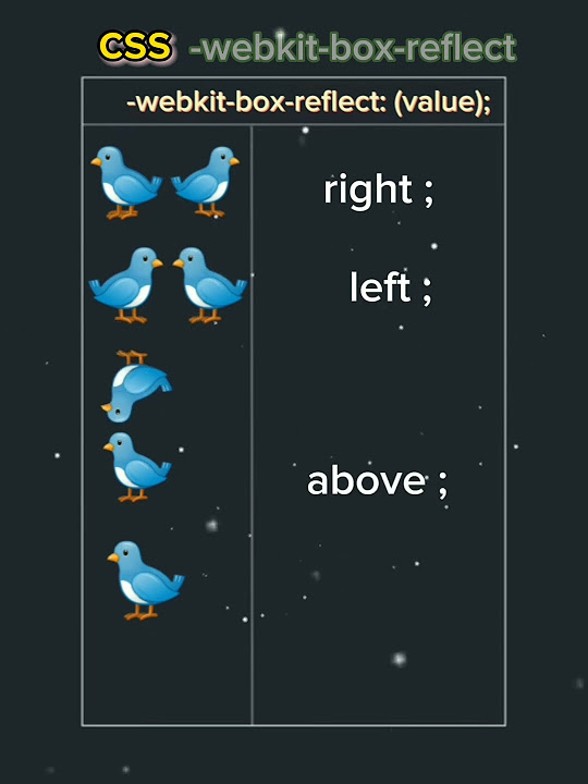 Learn Css Webkit Box Reflect Css Webkit Box Reflect Youtube