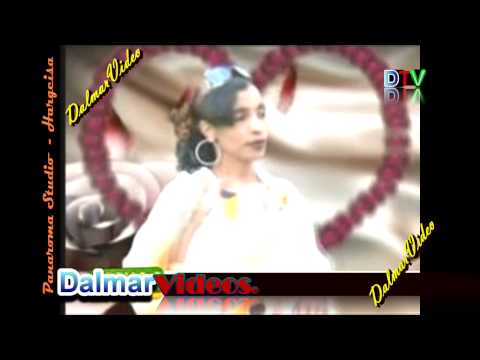 Nimco Xasan Faarax | Aroos