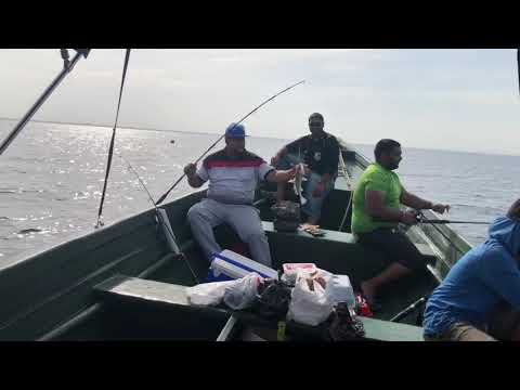 Fishing with Kalpoo’s 🎣🐟 Trinidad 🇹🇹. Massive and the team what a catch ...