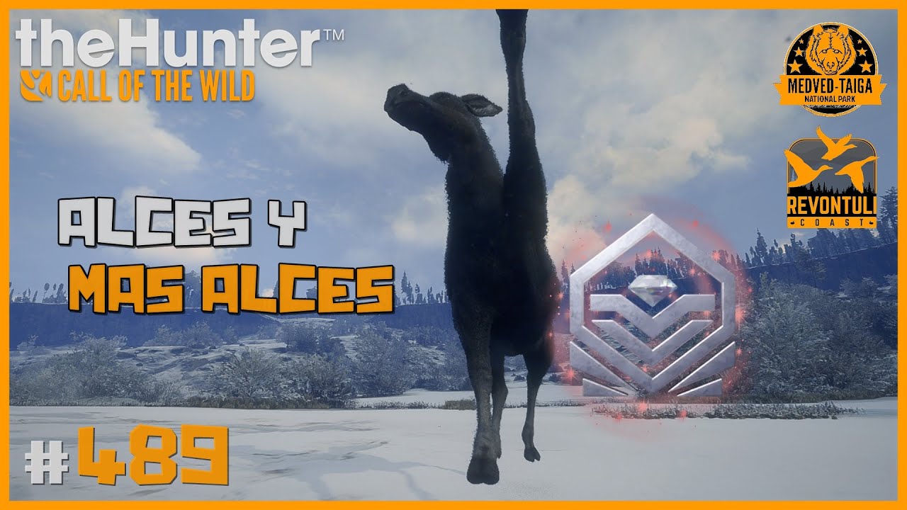 🦌theHunter: CotW #489 | MÁS ALCES EN MEDVED-TAIGA Y PRUEBO EN REVONTULI ...
