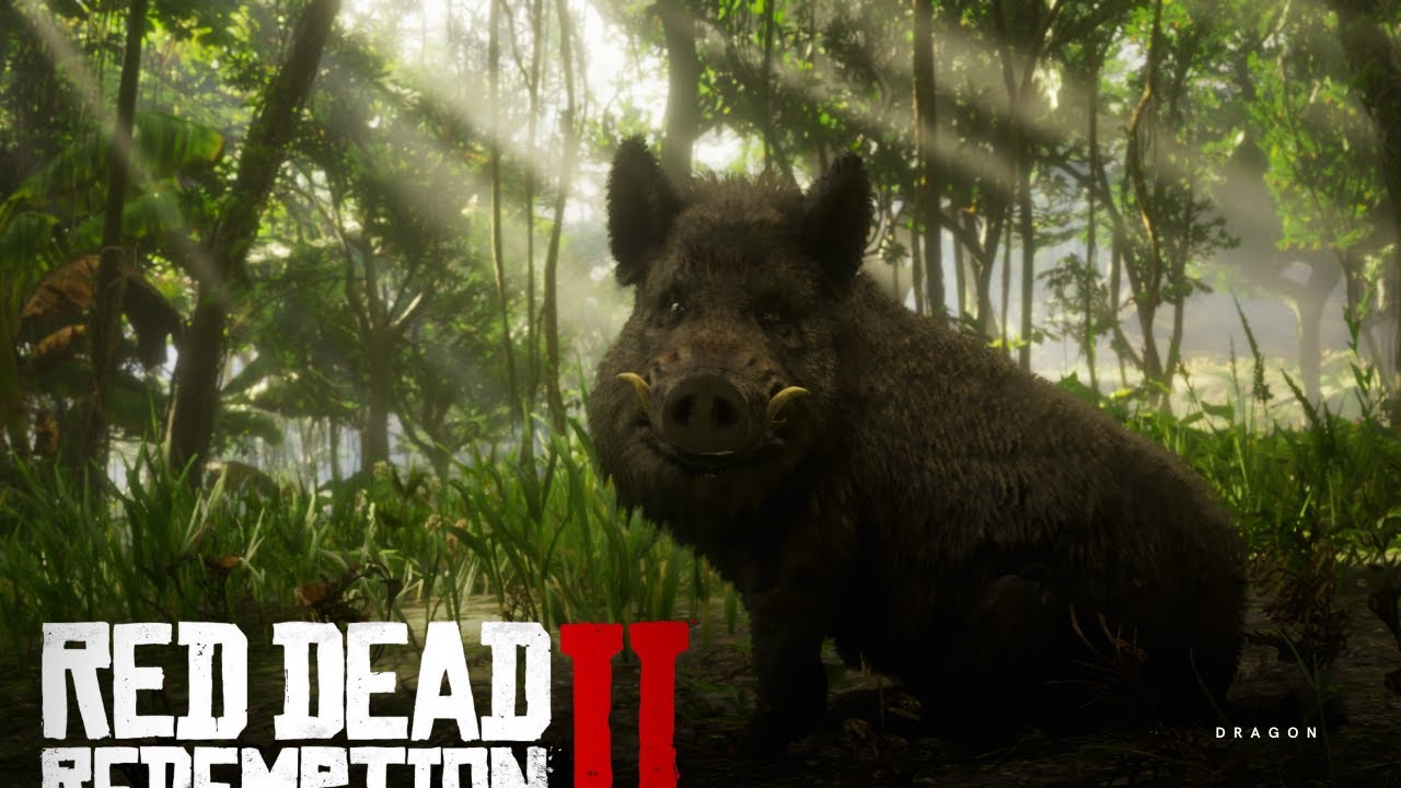 How to Find and Kill The Legendary Boar In RDR2 - YouTube