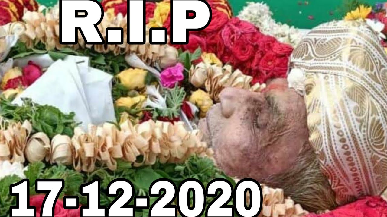 Special Video Of DR. R.N SHETTY sir 🙏 R.I.P - YouTube