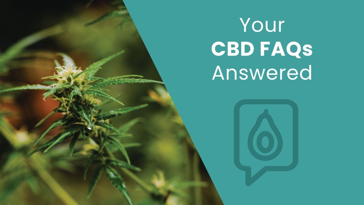 Your CBD FAQs, Answered | Dr. Josh Axe - YouTube