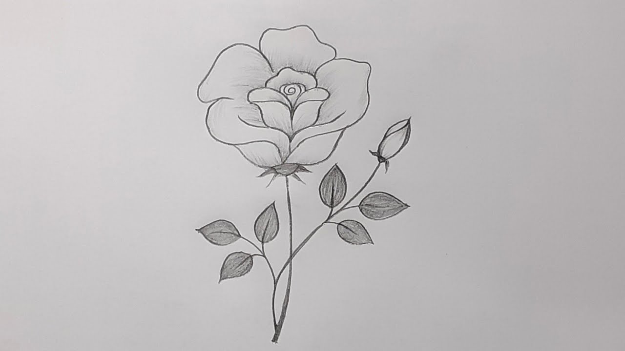 Rose Flower Drawing | Simple Drawing | Flower Art 4 | Embroidery design ...