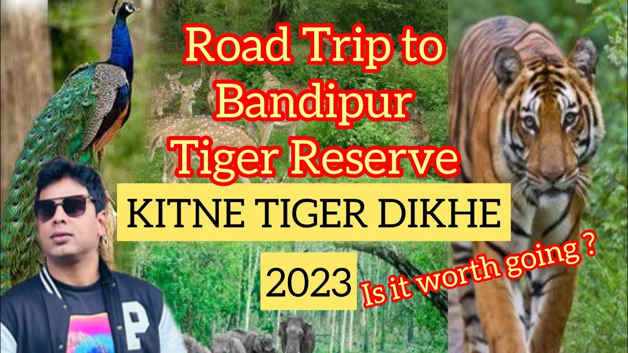 ROAD TRIP TO BANDIPUR TIGER RESESRVE NATIONAL PARK FROM BANGALORE ...
