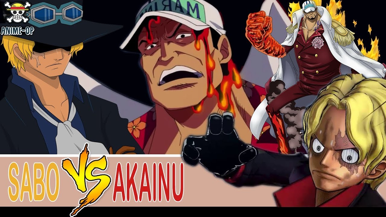 SERU! SABO VS AKAINU SIAPA YANG LEBIH KUAT? PERTANDINGAN SABO VS AKAINU ...