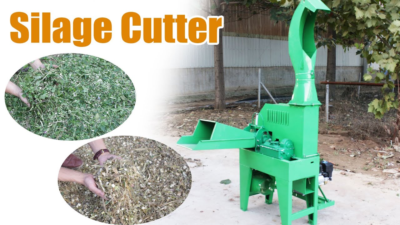 🌿Forage Chopper Machine Working Video For Silage Cutting, Grass ...