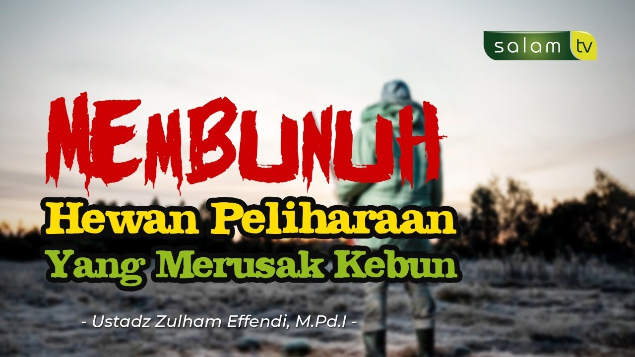 Membunuh Hewan Peliharaan Yang Merusak Kebun - Ustadz Zulham Effendi, M ...