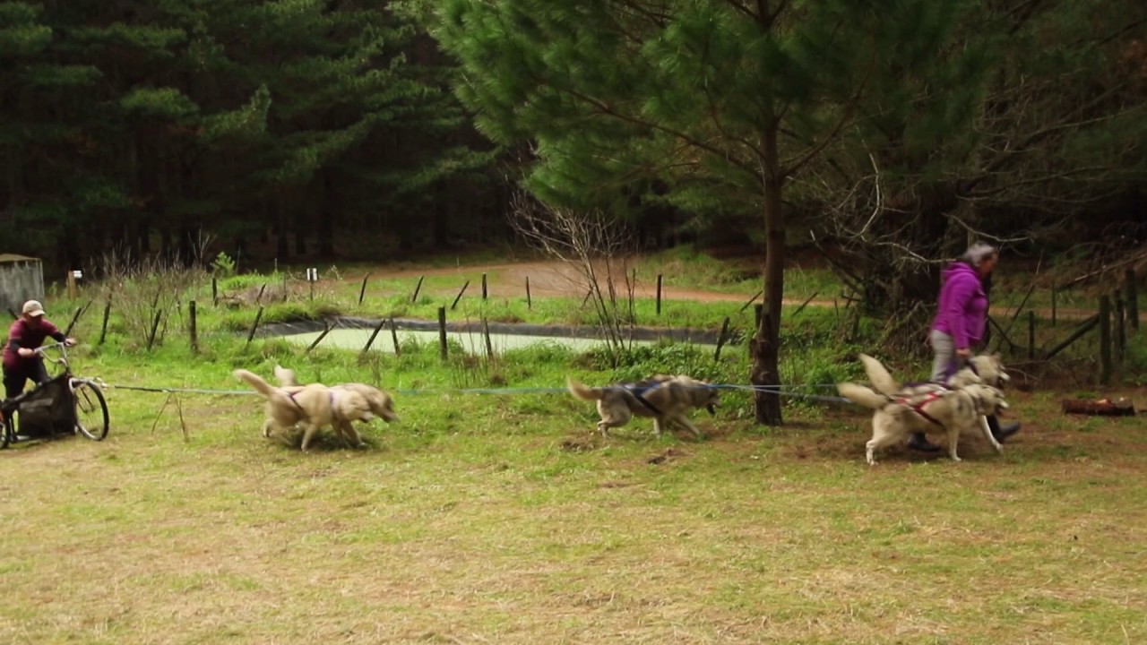 Waitarere Forest Training 2016 - YouTube
