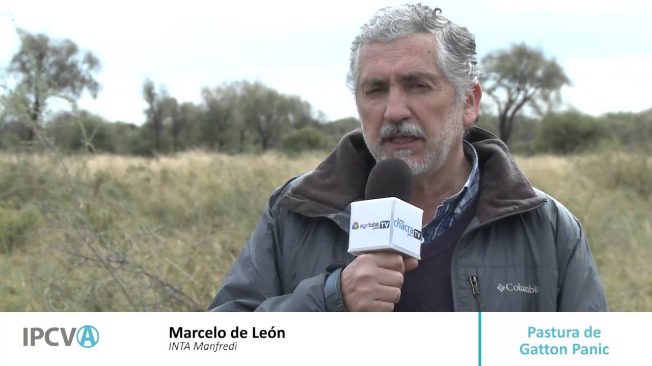Marcelo De León (Pastura de Gatton panic) - YouTube