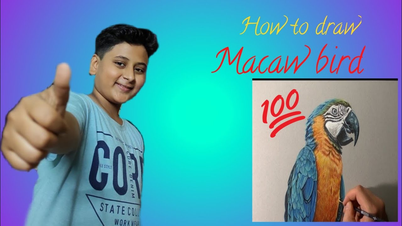 How to draw a Macaw bird - YouTube