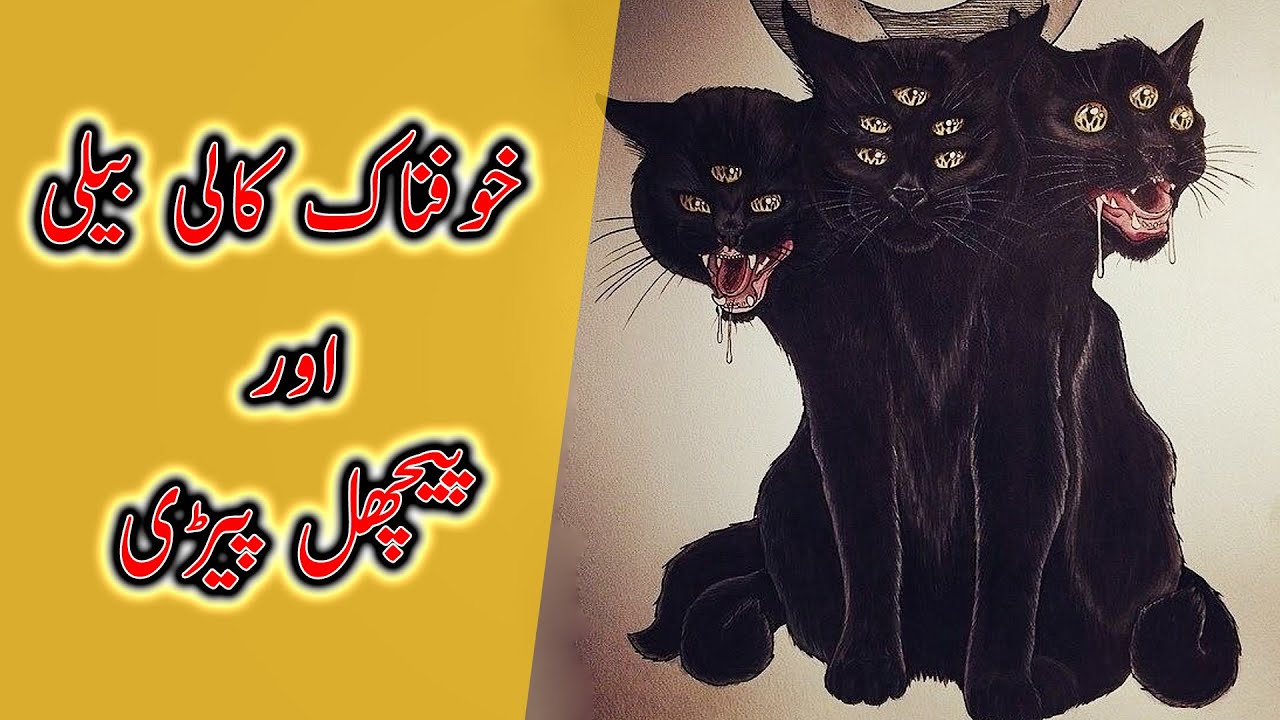 Khofnak Kali Billi or Pichal Peri | Night Horror Show | Edge Of Dreams ...