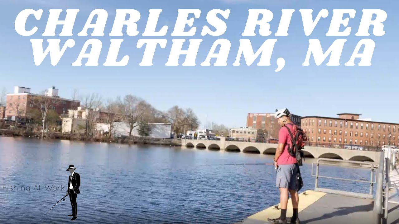 Charles River Fishing - Waltham MA - Looking For Smallmouth Bass - 4-9 ...