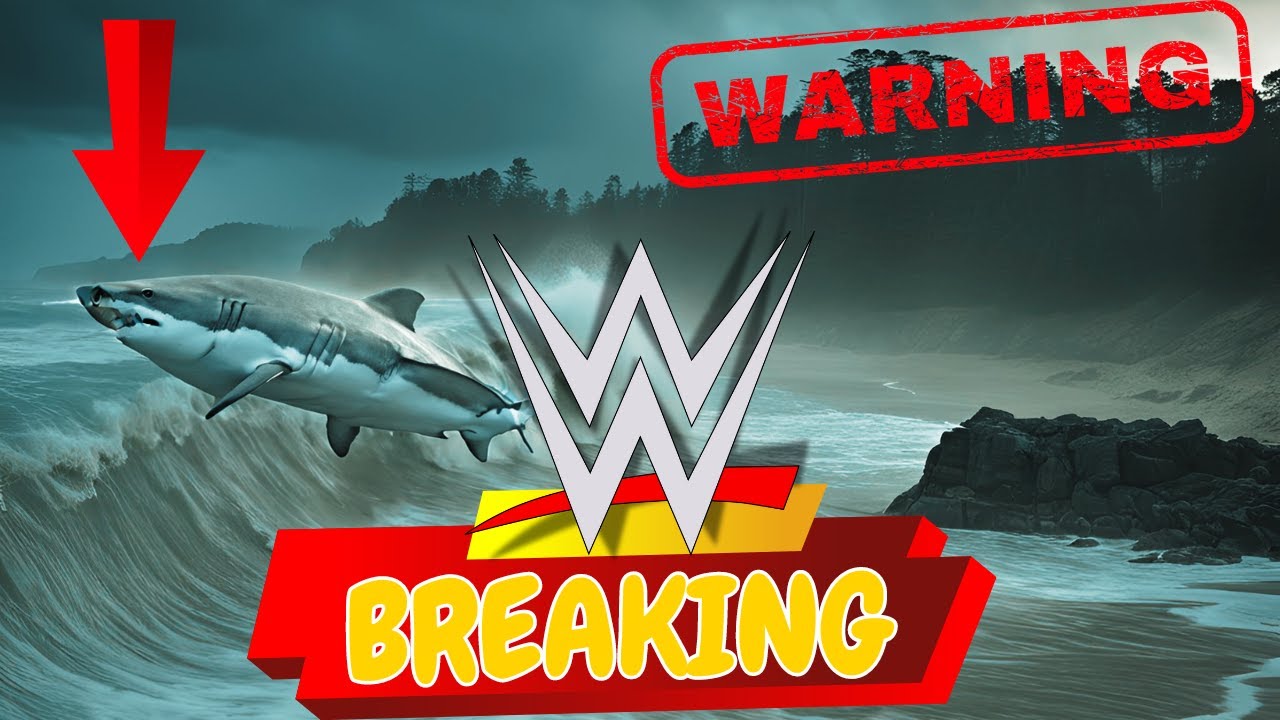 MASSIVE WWE Star in Shark Attack LIVE SHOCKING Footage! Wrestling News ...