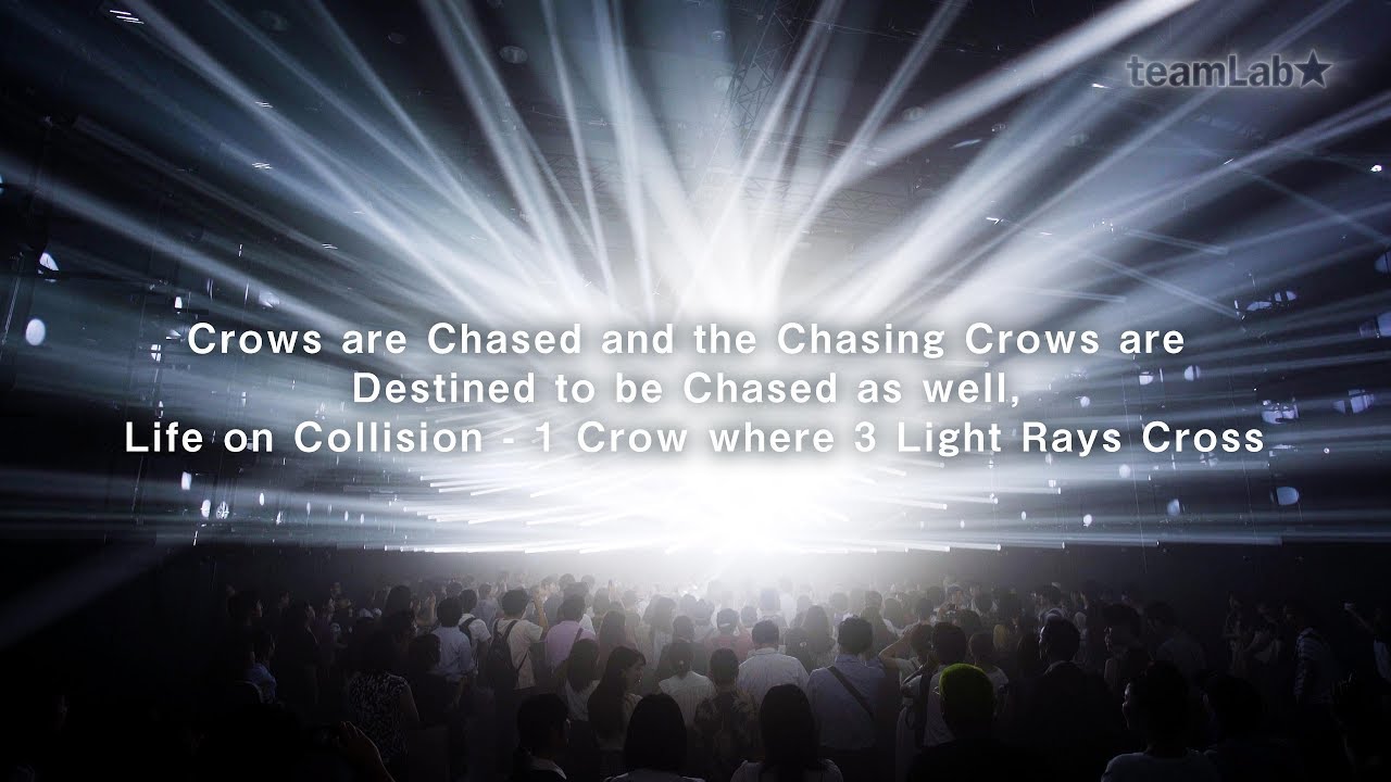 Crows are Chased and the Chasing Crows are Destined to be Chased as ...