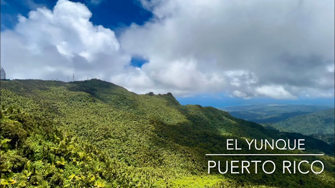 Hiking Los Picachos and Mount Britton in El Yunque National Forest ...