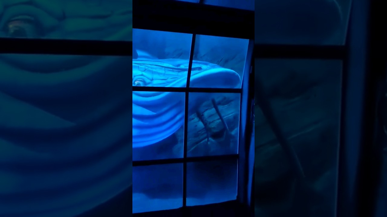 Fabelvis Symbolica Efteling #symbolica #efteling - YouTube