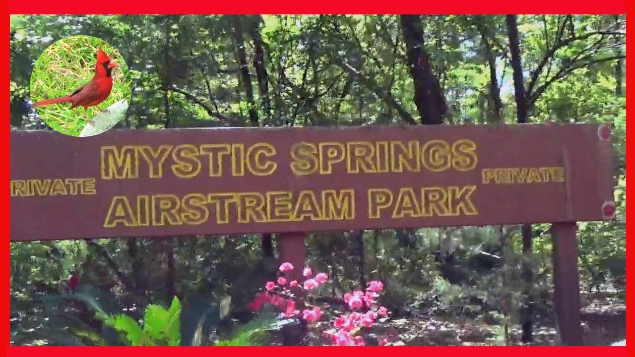 Mystic Springs Private Campground in the Florida Panhandle - YouTube