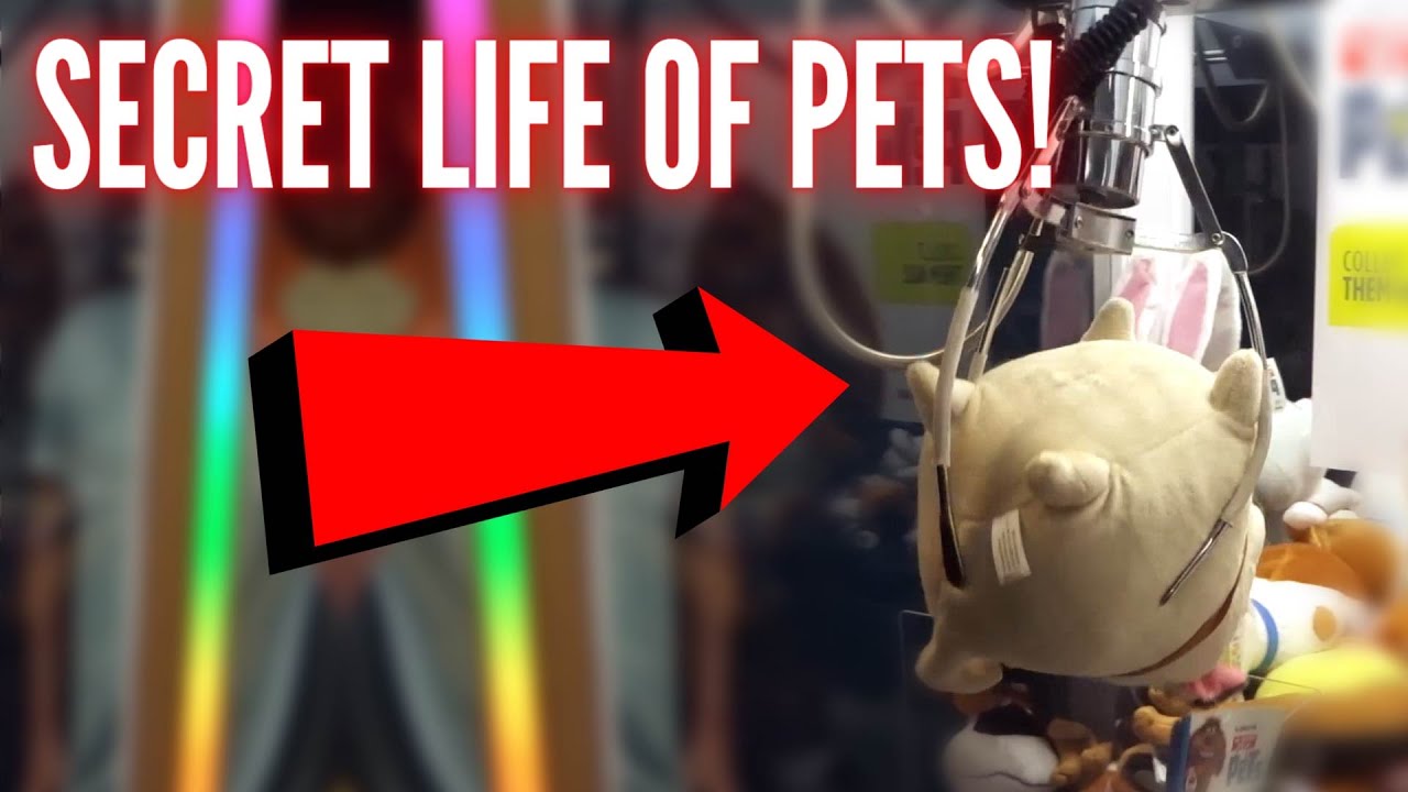 Winning On The Secret Life of PETS Claw Machine!! - YouTube