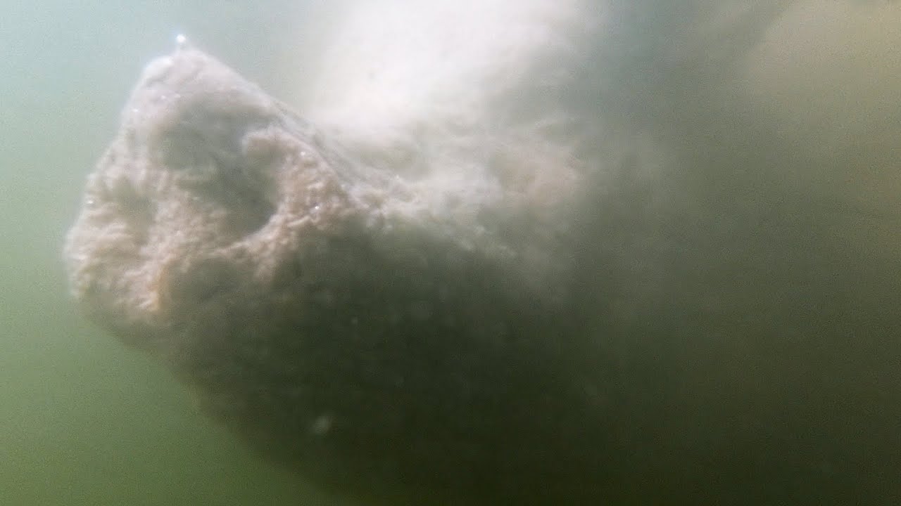 Drowning the pig: Rhea Silvia by Ida Karkoszka - YouTube