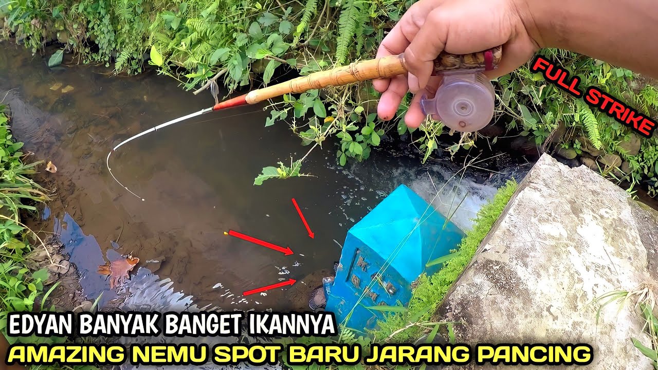 Heboh..!! Mancing Ikan Wader dan Nilem Babon Di Selokan Bareng Bapak || Micro Fishing Indonesia ...