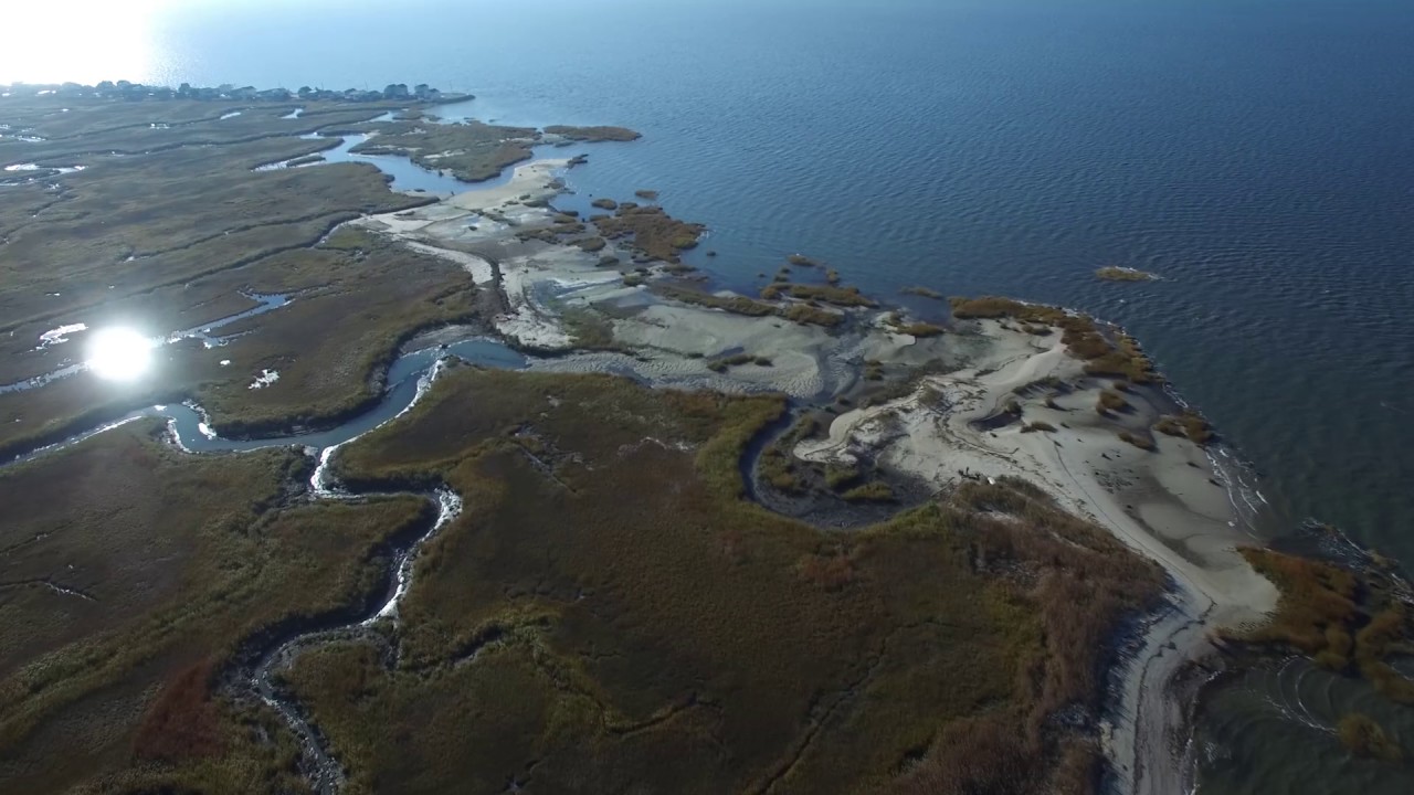 Living Shoreline on Money Island - YouTube