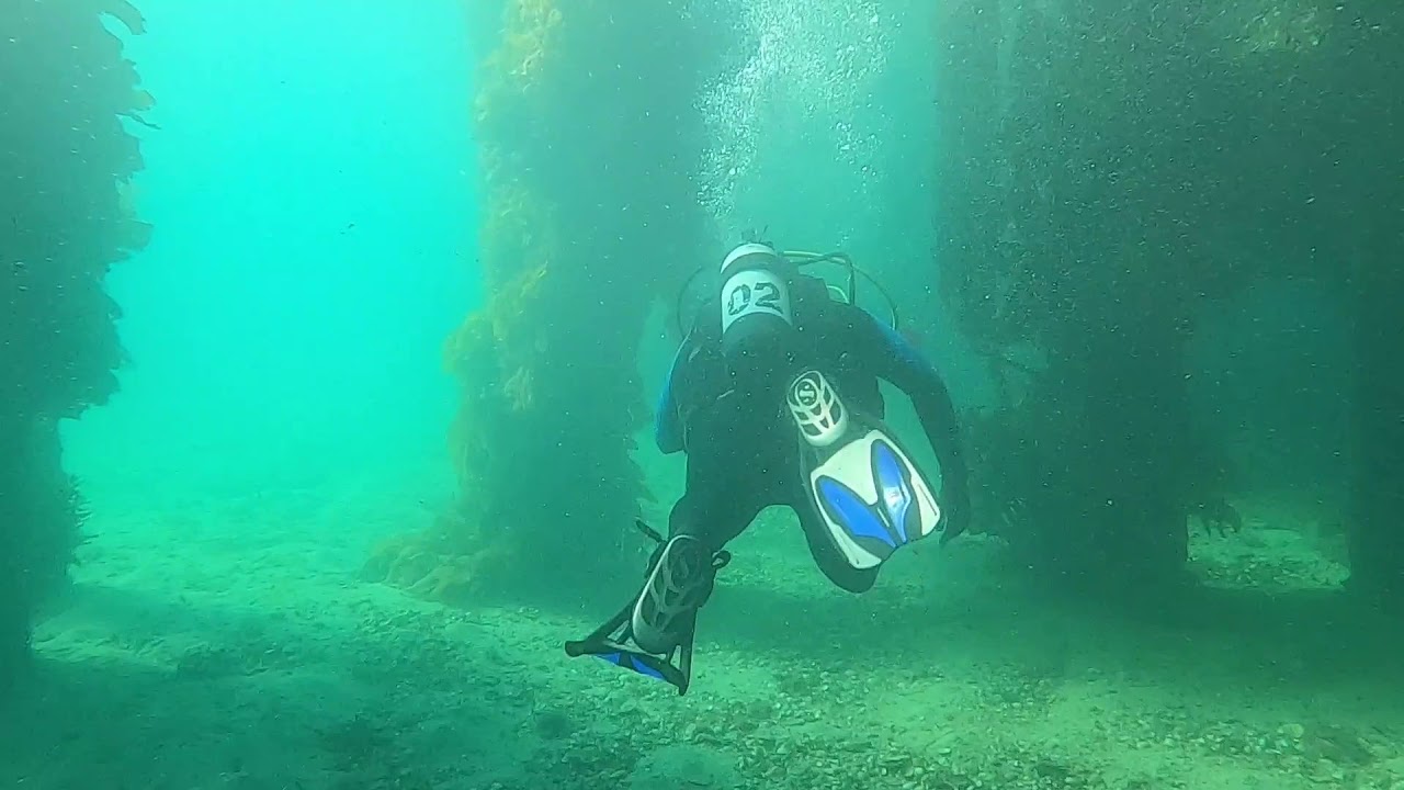 Scuba Diving Rye Pier Victoria, Australia (gopro hero 8) - YouTube