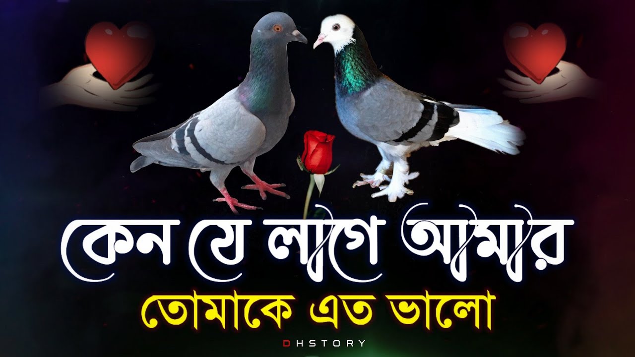 Natun premer shayari | sad love story bangla | shayari bangla | koster ...