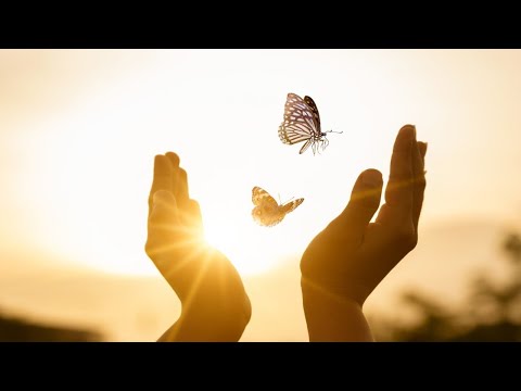 Huzur Sabahı (Enstrümantal Fon Müziği) | Instrumental Relaxing Calm Background Music