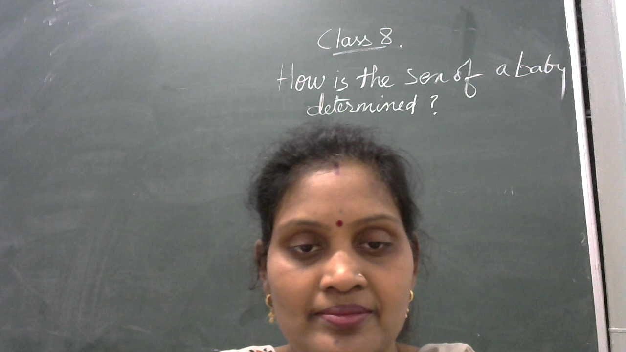 Class 8 Reaching The Age Of Adolescence YouTube class-8-reaching-the-age-of-adolescence-youtube