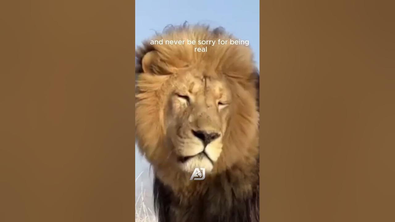TRUE... - YouTube