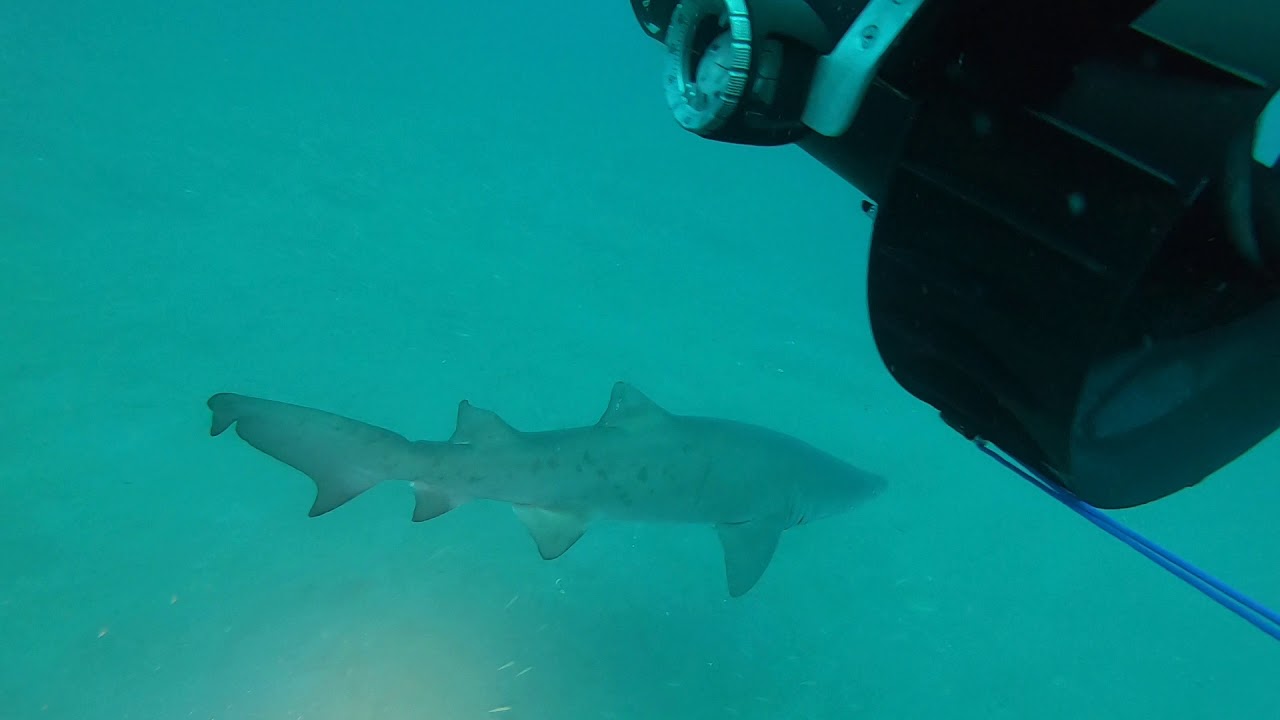 Aeolus wreck dive - YouTube