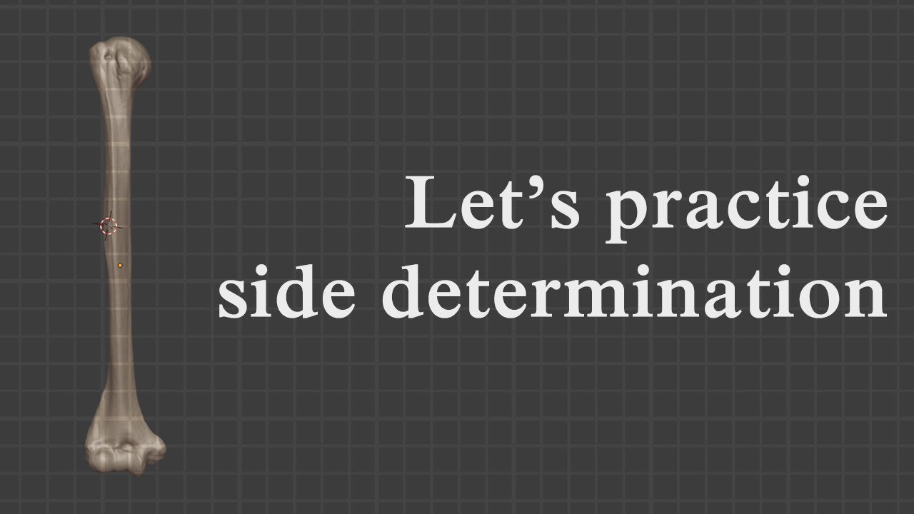 Side determination of a bone: Humerus - YouTube
