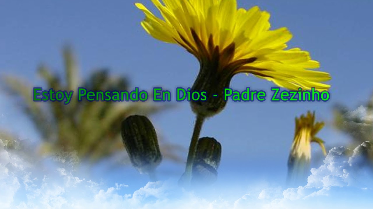 Estoy Pensando En Dios - Padre Zezinho - YouTube