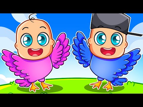 KUŞ AİLESİ Tarafından Büyütüldüm! 🐤