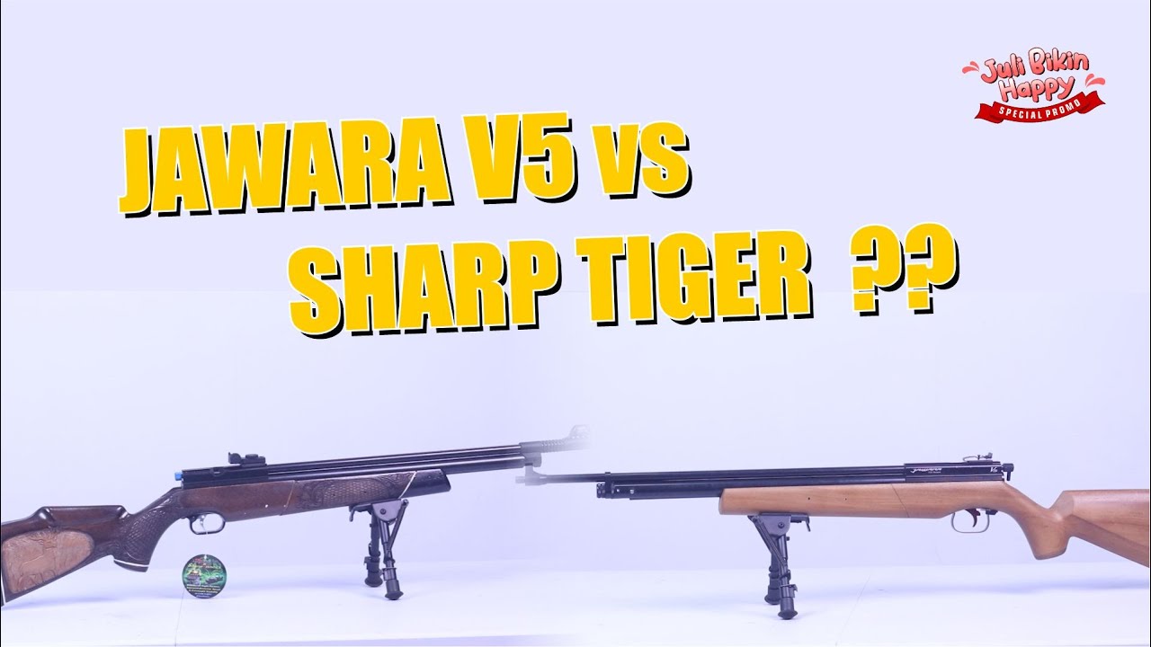 [ REVIEW ] JAWARA V5 VS SHARP TIGER !!! Kita Ulas Tuntas Disini - YouTube