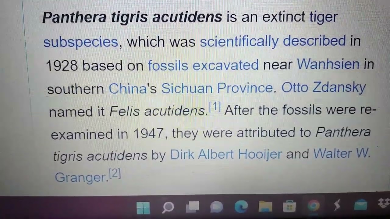 Panthera Tigris Acutidens