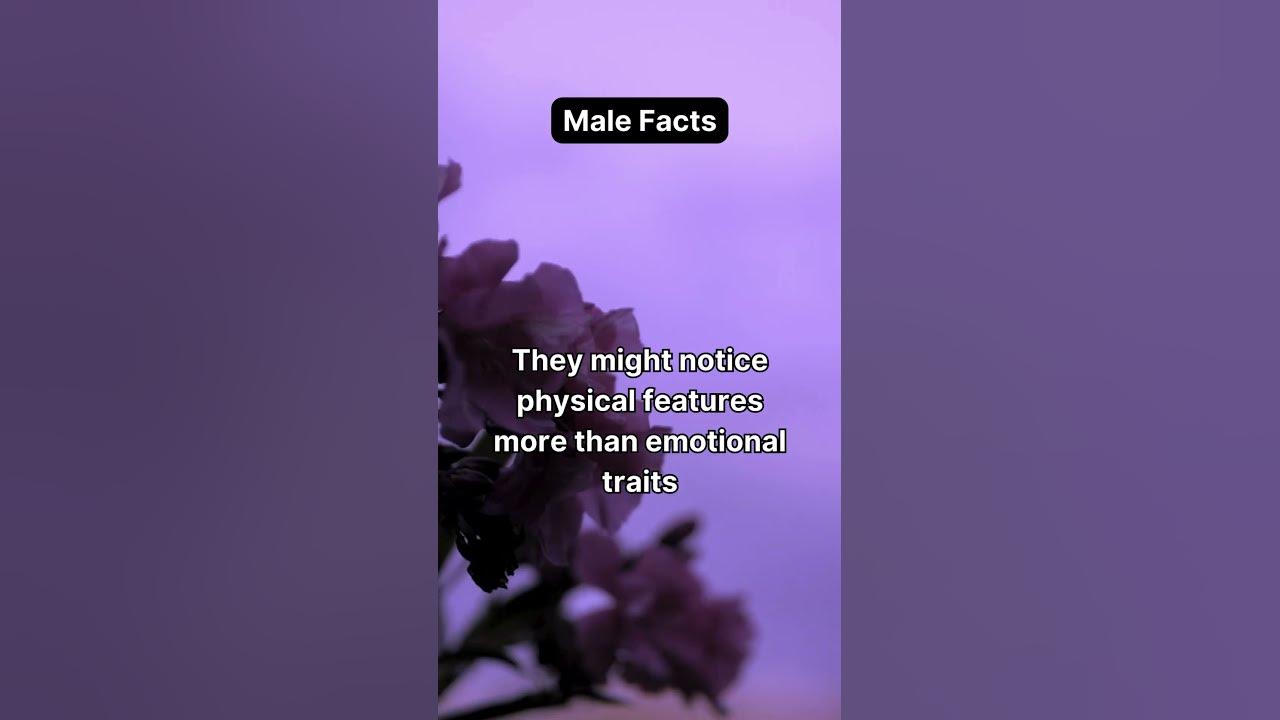 Male Facts YouTube male-facts-youtube