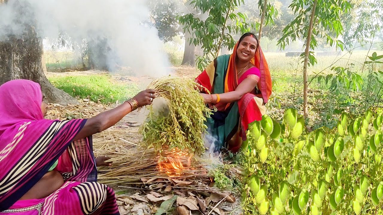Horaha recipe || देखिये गाँव में चना का होरहा कैसे लगाया जाता है ...