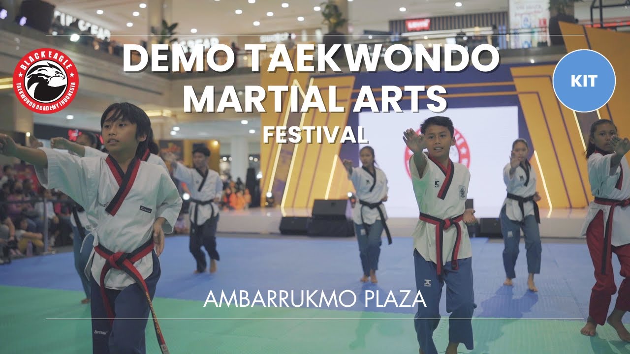 GOLDEN MOMENT: Black Eagle Taekwondo Demonstration Team and Kick It Taekwondo shocks The ...