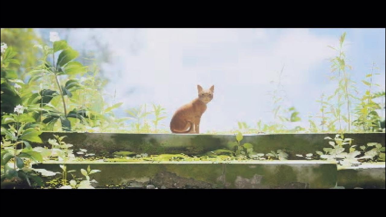 Stray: Ending Cutscene (4K 60FPS PS5) - YouTube