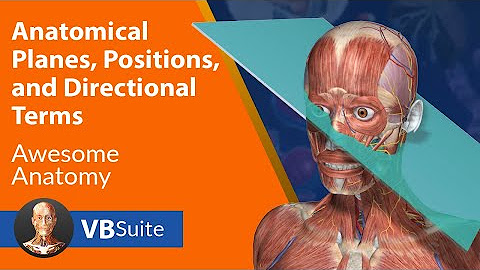 Introduction to A&P - YouTube