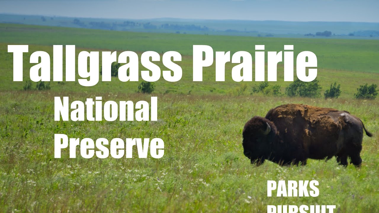 Hiking Tallgrass Prairie National Preserve! - YouTube