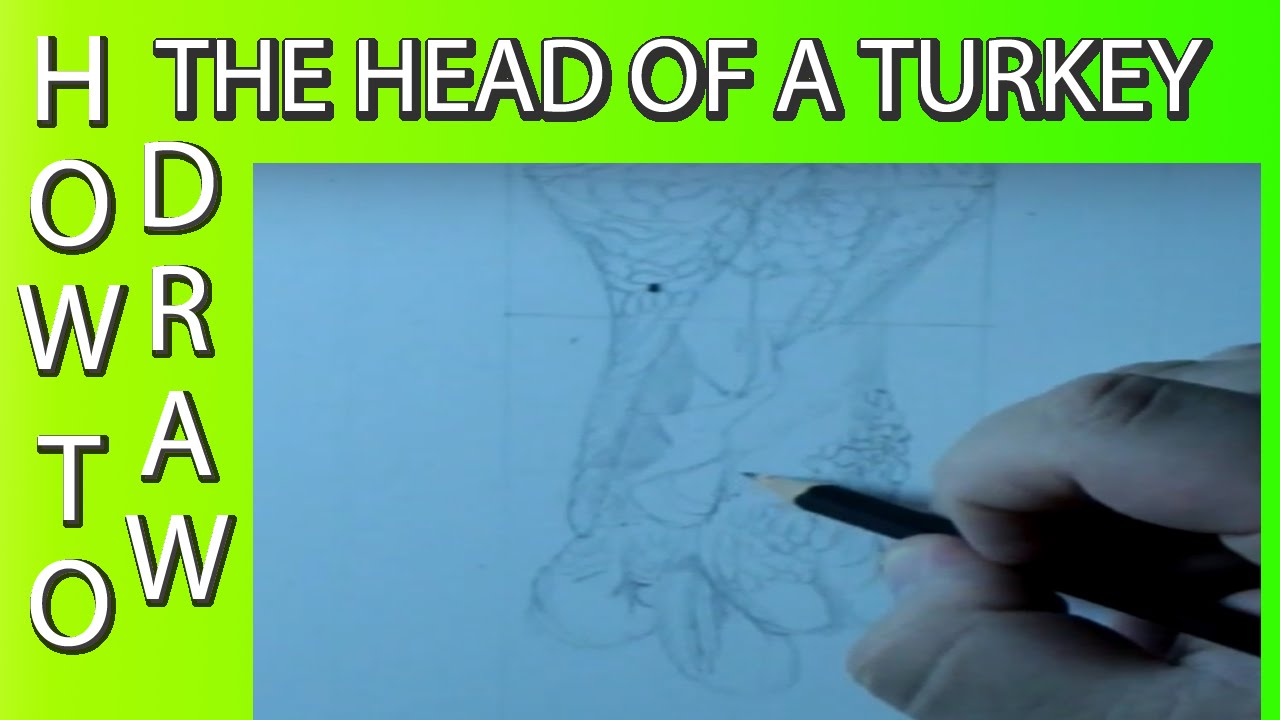 HOW TO DRAW THE HEAD OF A TURKEY - YouTube