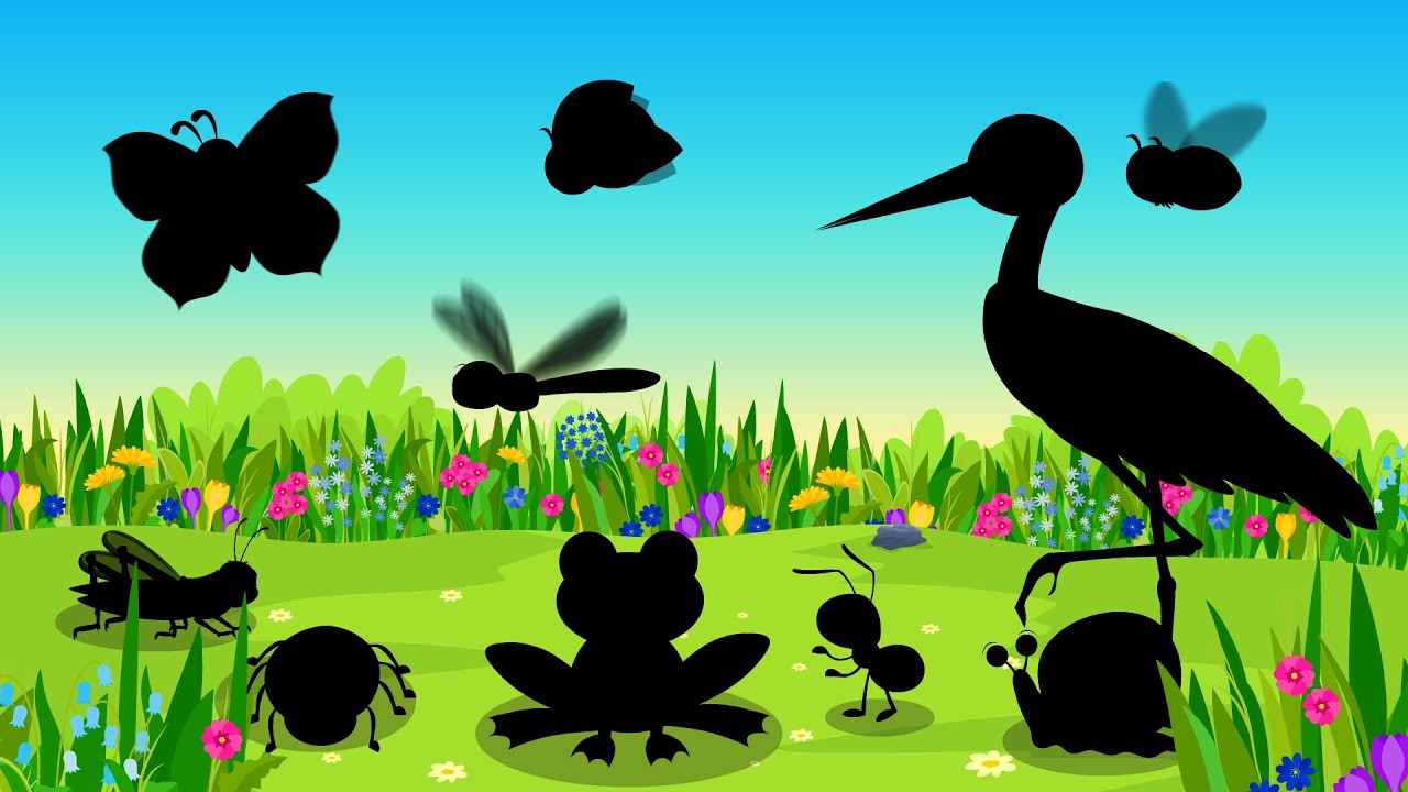 🦋 Meadow Animals - Fun Learning Video for Kids - Rocklets 🦋 - YouTube