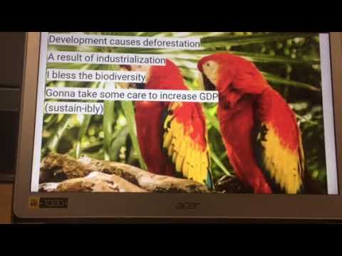 Biodiversity apes 3a - YouTube