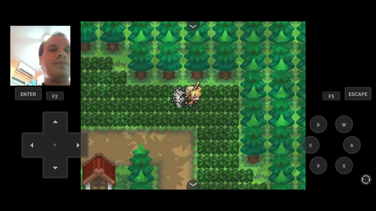 Pokemon añil cap77: conseguimos a celebi - YouTube
