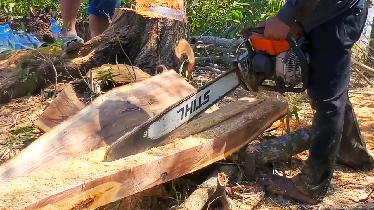 Sharpening Woodworking Skill With Amazing Chainsaw In The Water ! Tree ...